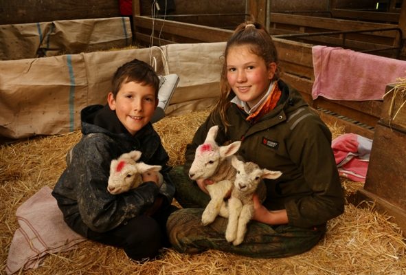 Triplet transfer triumph - CountryWide