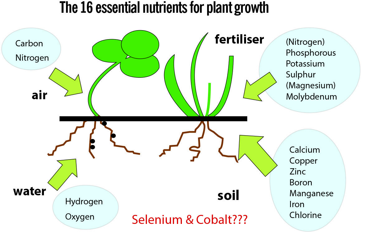 Soil fertility rules - CountryWide