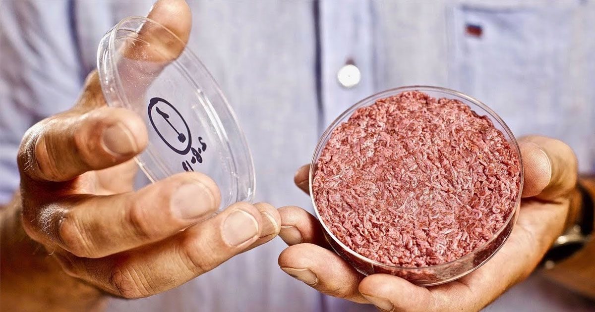 Unsavoury science behind lab-grown meat - Country-Wide Magazine
