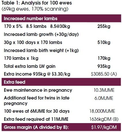 Boost BCS for lambing profit - CountryWide