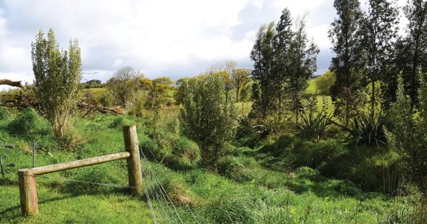 Environment and management intertwined - CountryWide