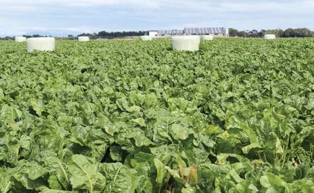 Know the true crop costs - CountryWide