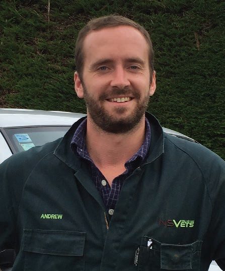 Breaking the cycle - CountryWide