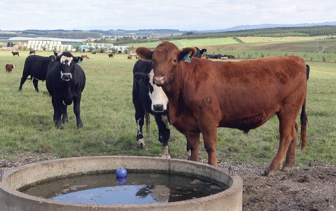 Outdoors less disease risk - Country-Wide