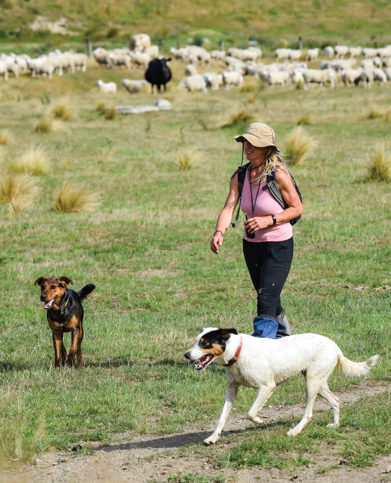 Family does the basics well - CountryWide