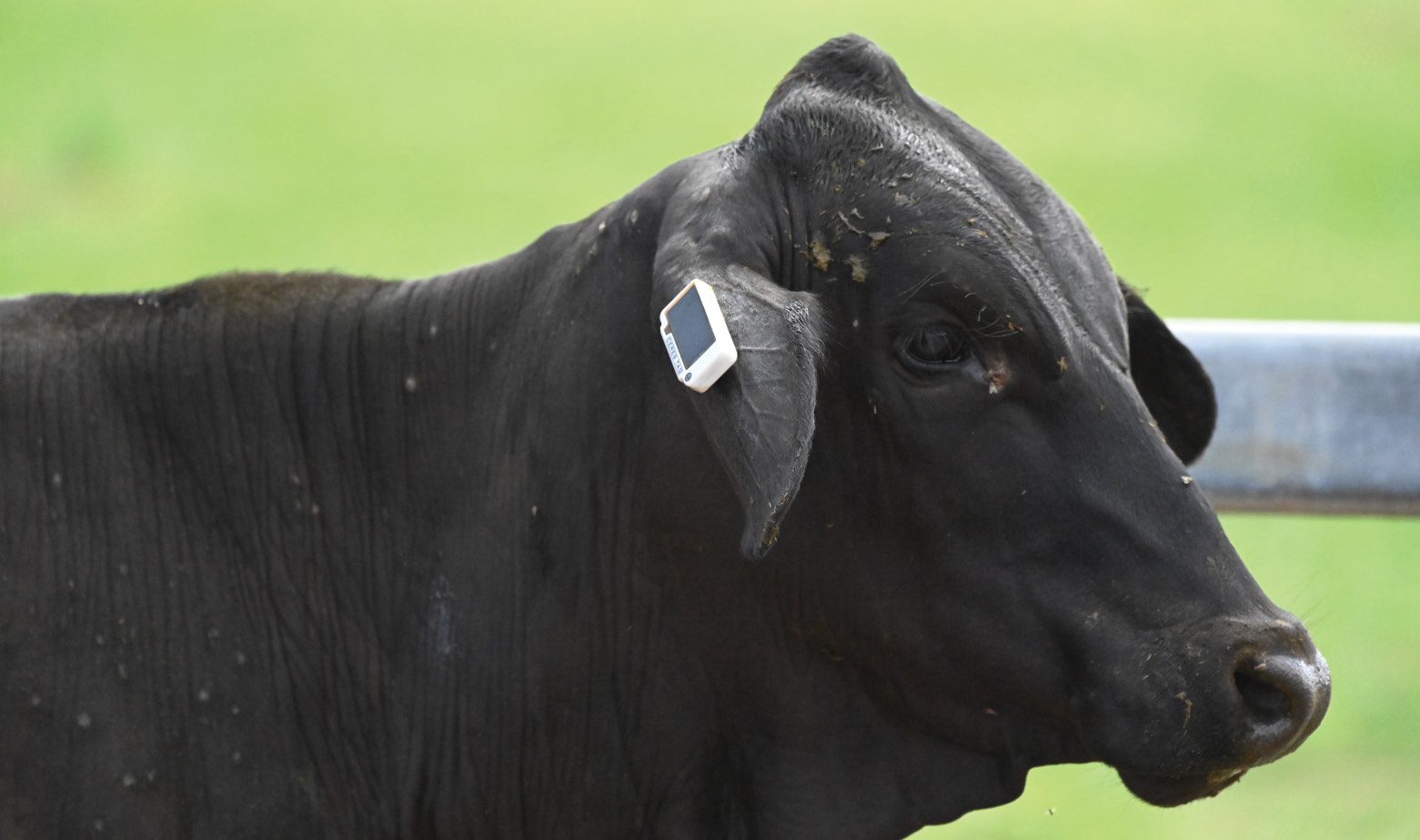 Smart tag under trial - CountryWide