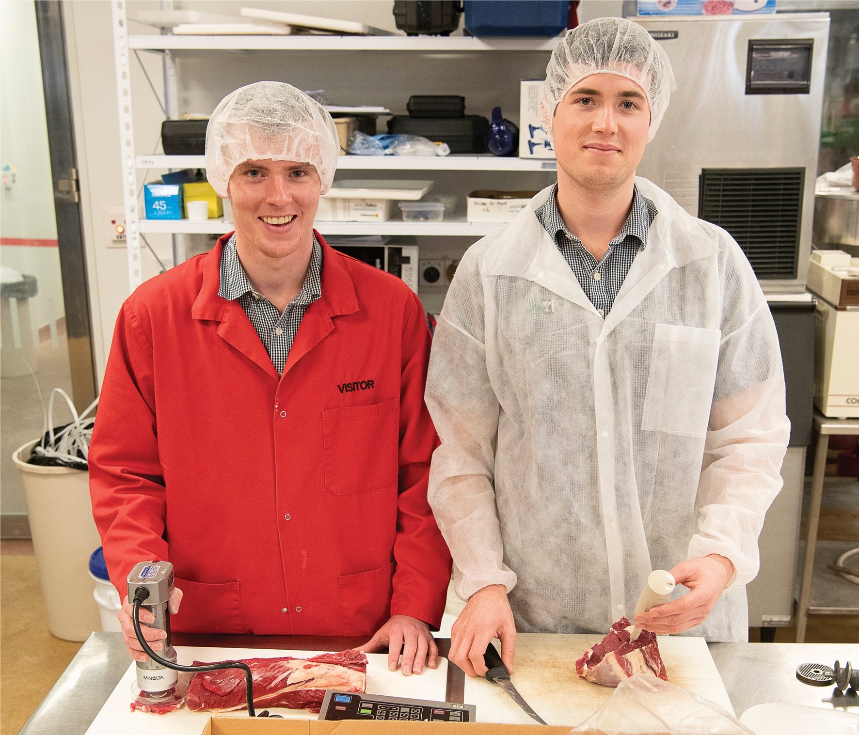 Potential for New Generation Beef - Country-Wide