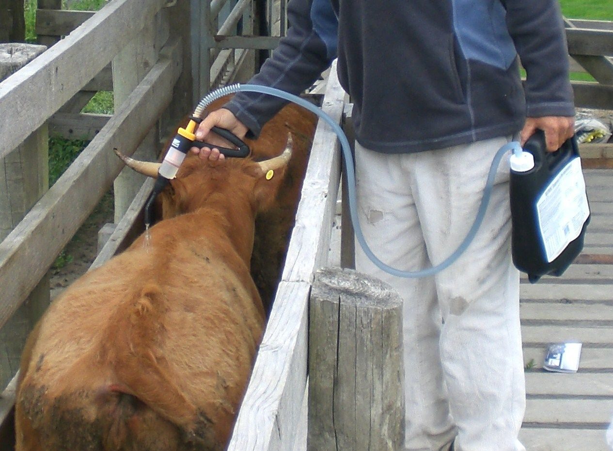 Flexibility in animal health - CountryWide