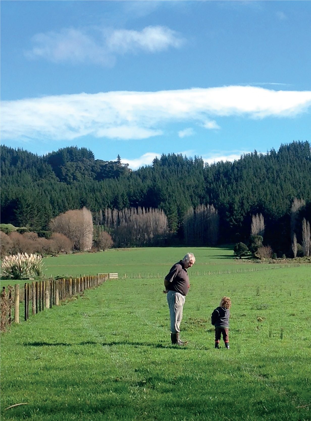 Saviours of the sheep industry - CountryWide