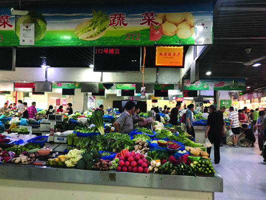 Wet markets thrive in China - CountryWide