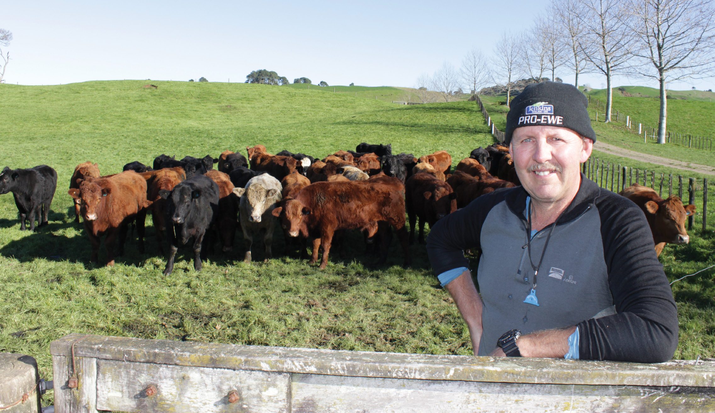 Summer fallow grows grass - CountryWide