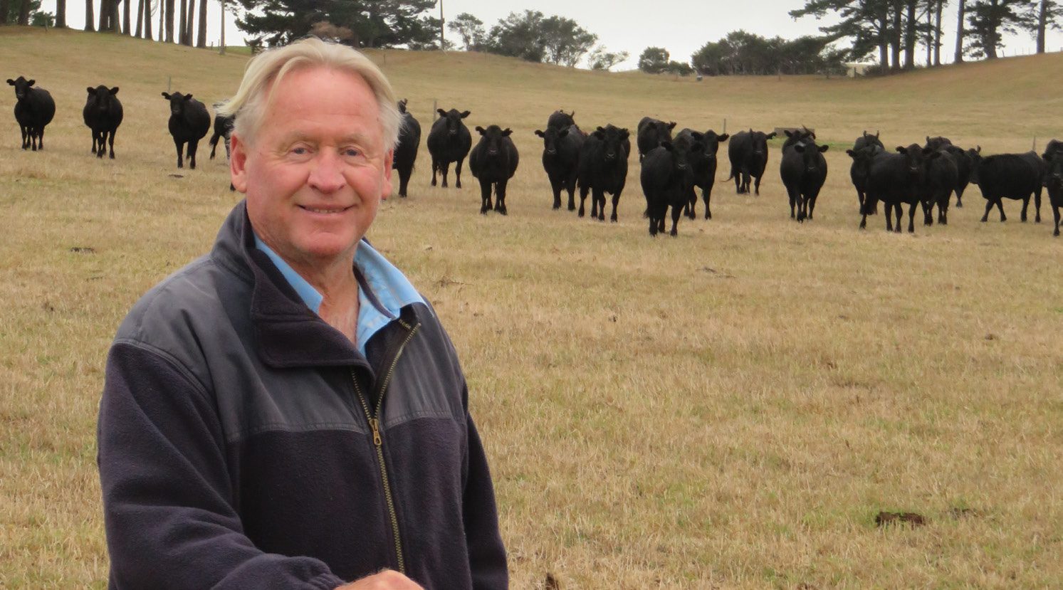 P fuels Northland’s crime - Country-Wide