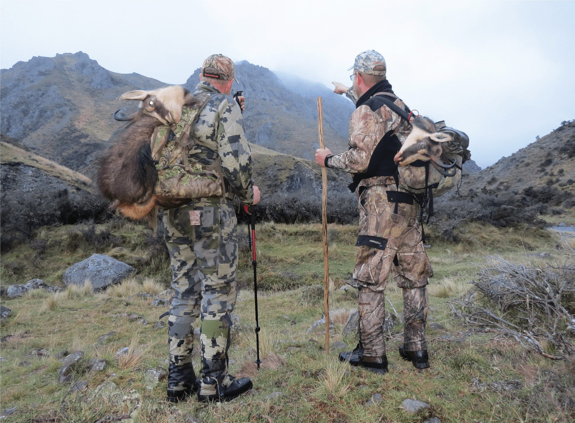 A hiss, not a roar - CountryWide