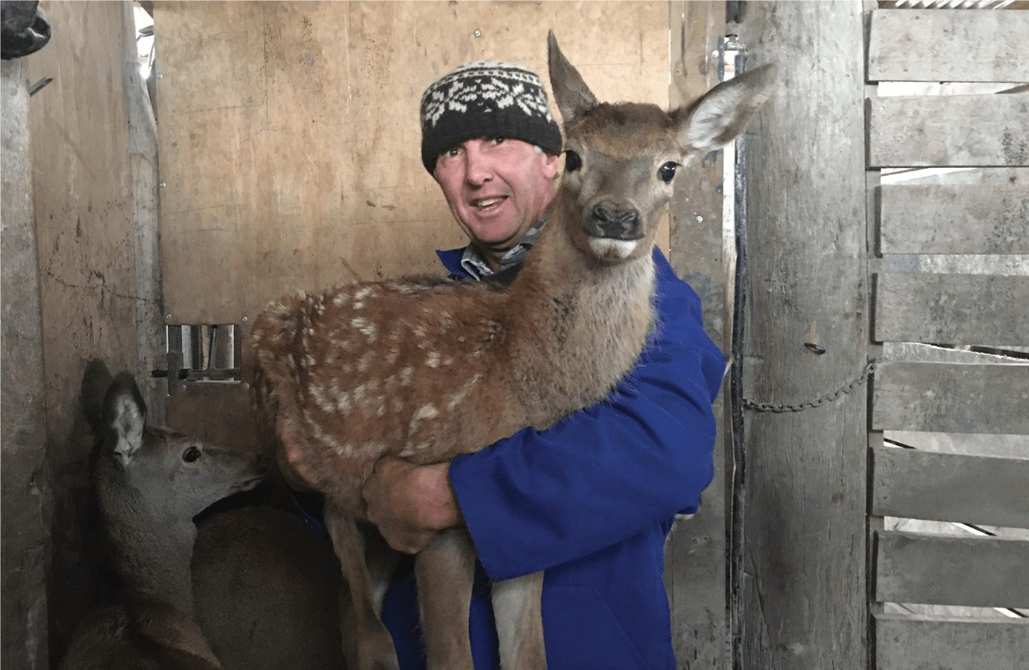 Rain, deer and culture - CountryWide
