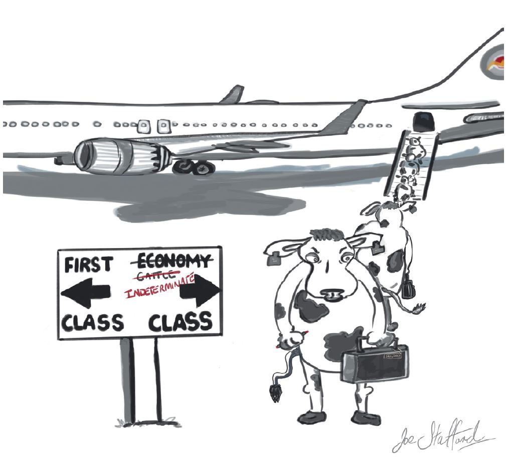 Cartoon: Cattle class - Country-Wide