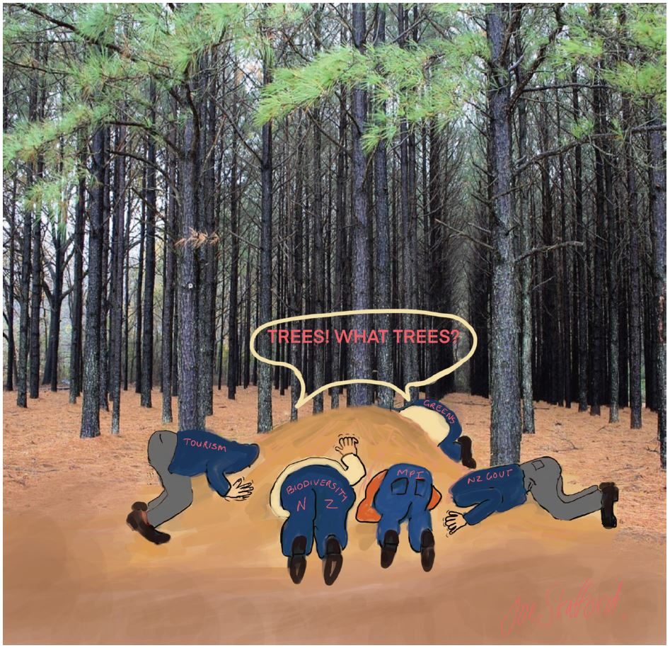 Cartoon: Head in the sand - CountryWide