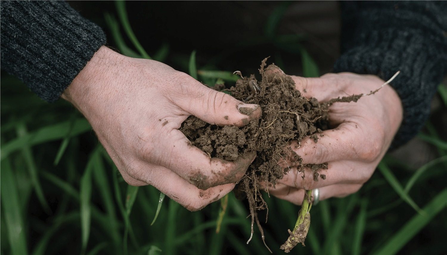 Better soil management a focus for FAR - CountryWide