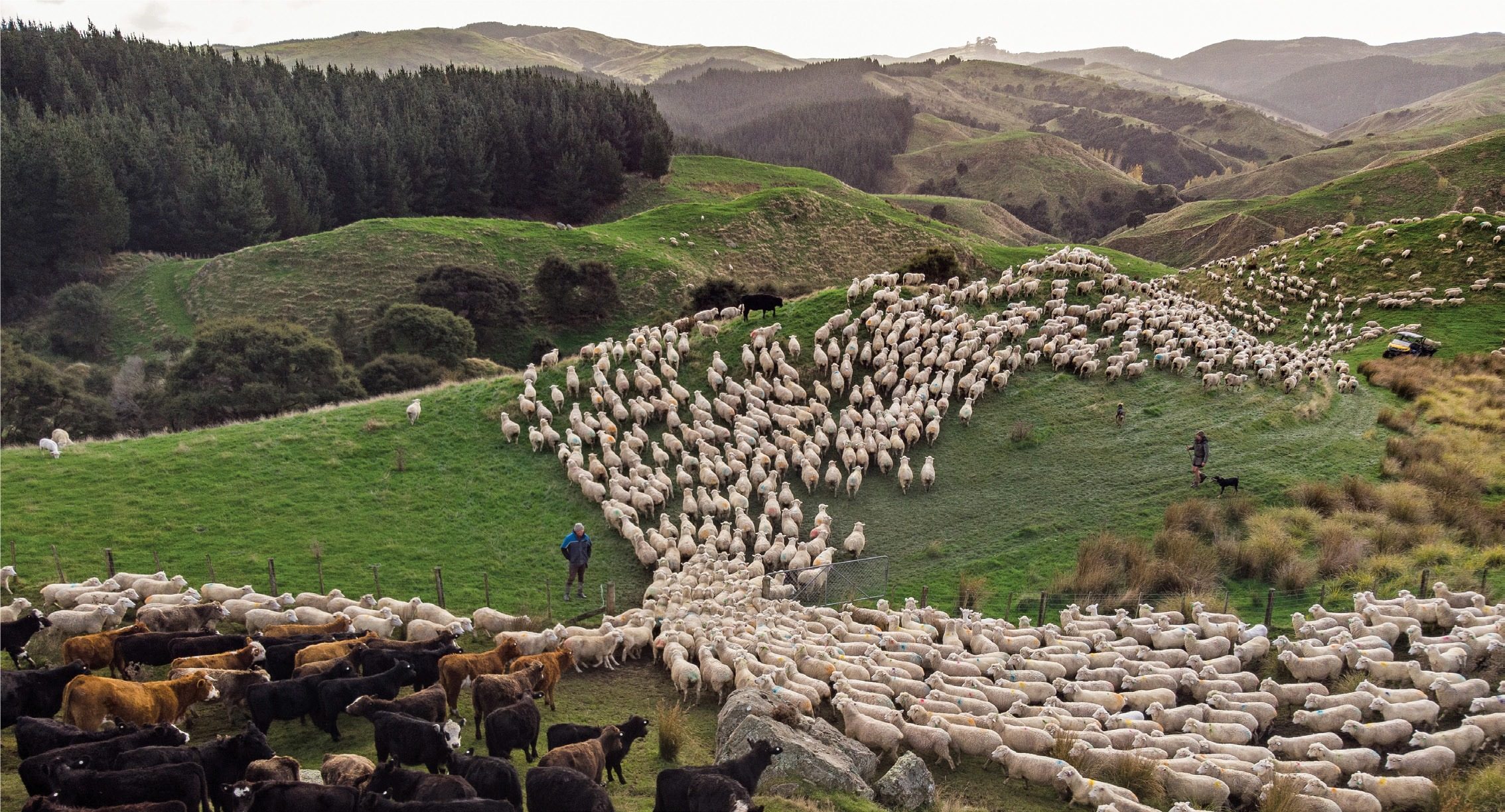 The meaning of being a ‘co-operative’ - CountryWide