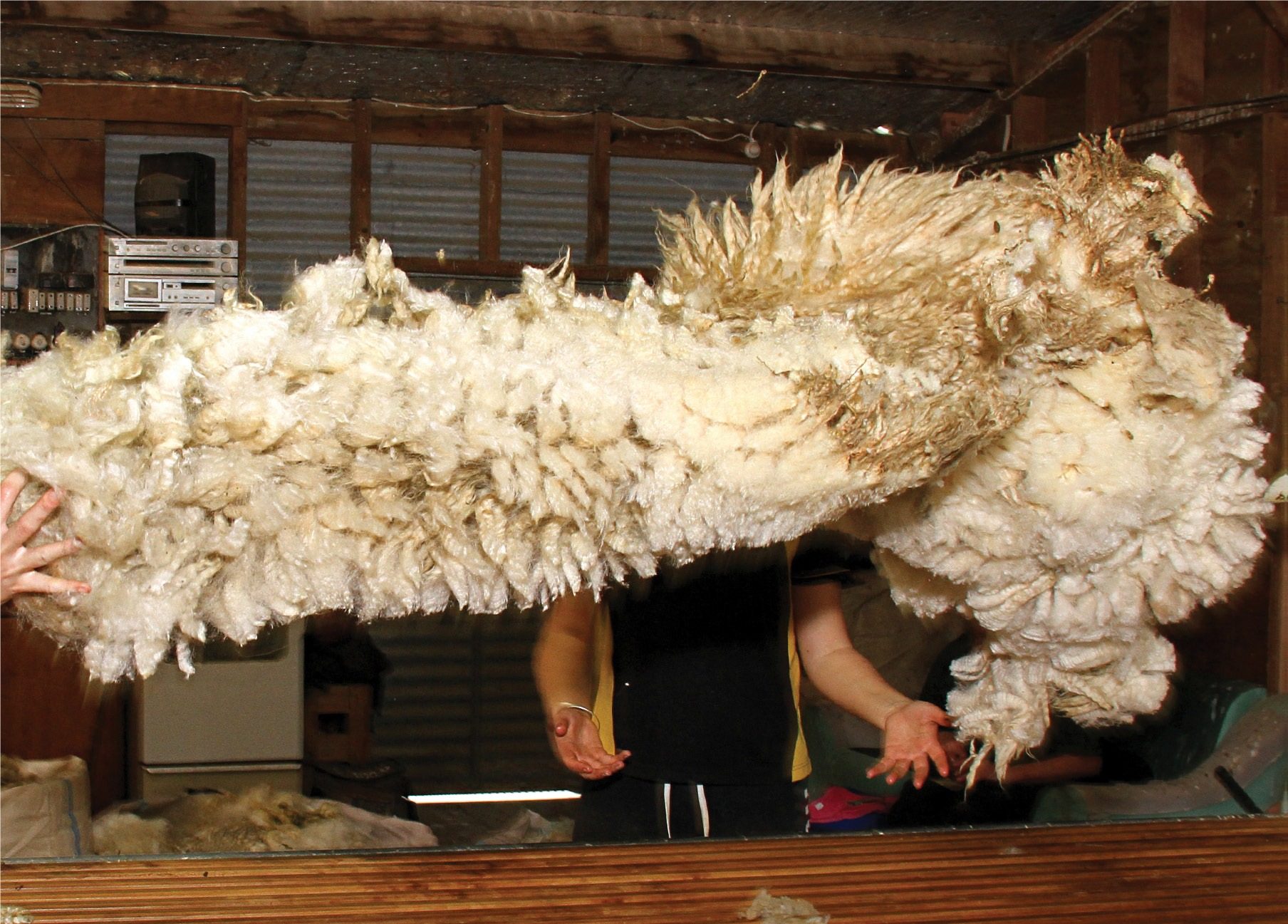 Better options for wool - CountryWide