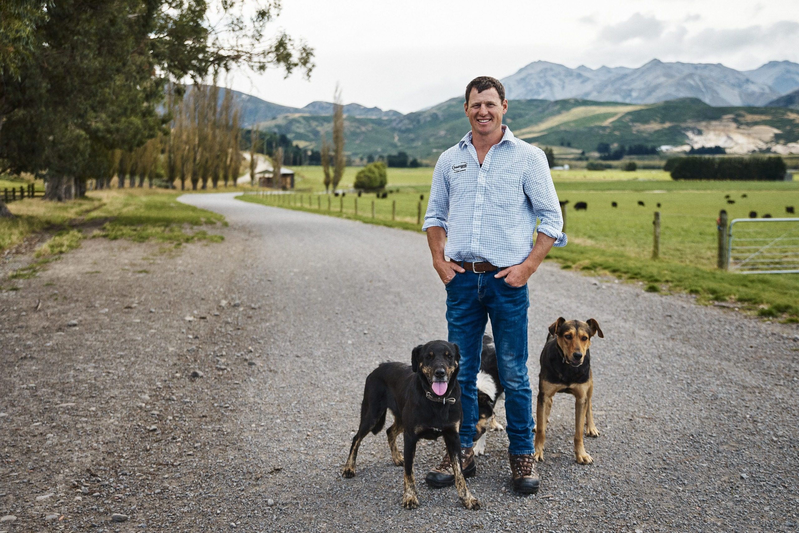 Reflective farming regenerates - CountryWide