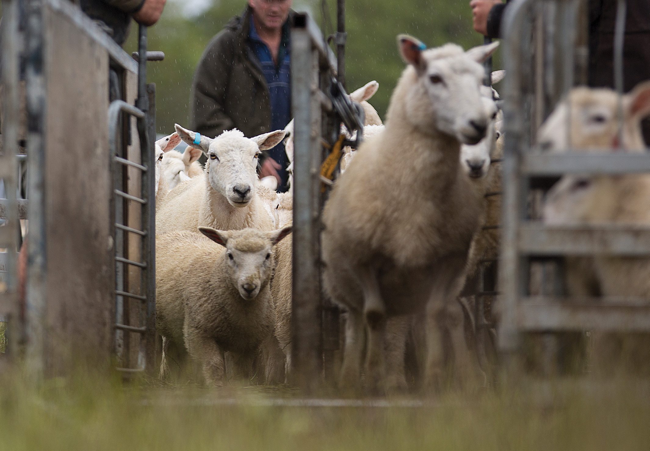 Exciting future for farming - CountryWide