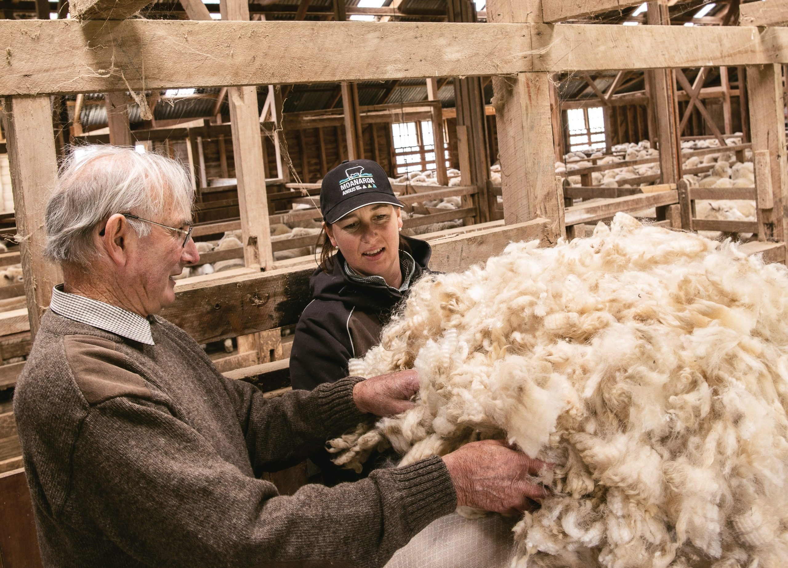 Wool's colour and future is bright - CountryWide