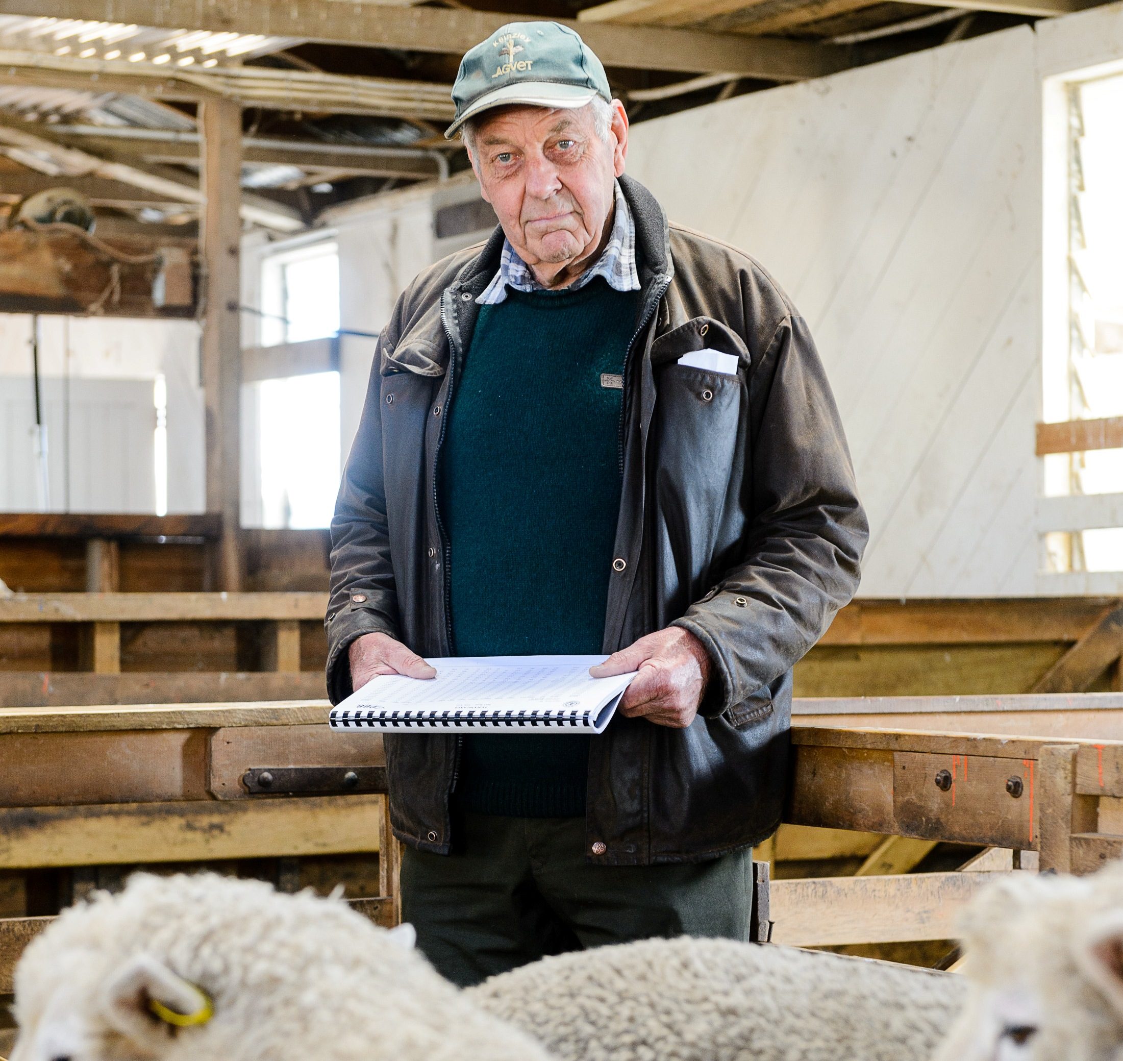A pioneer of NZ’s sheep industry - CountryWide