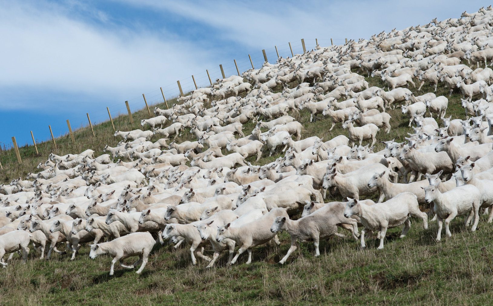 Focus on timeless principles - CountryWide