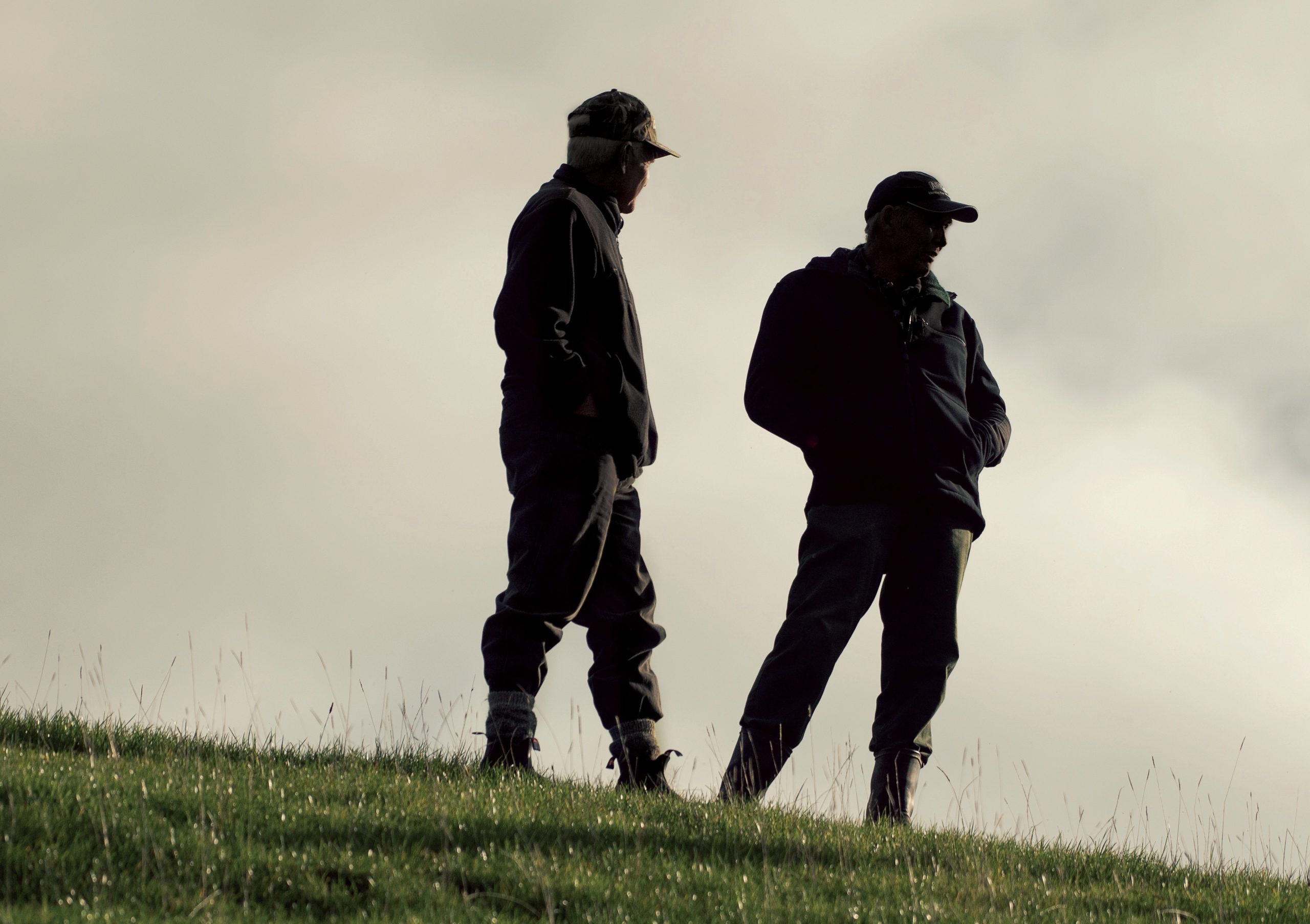 Start early on shared vision - CountryWide