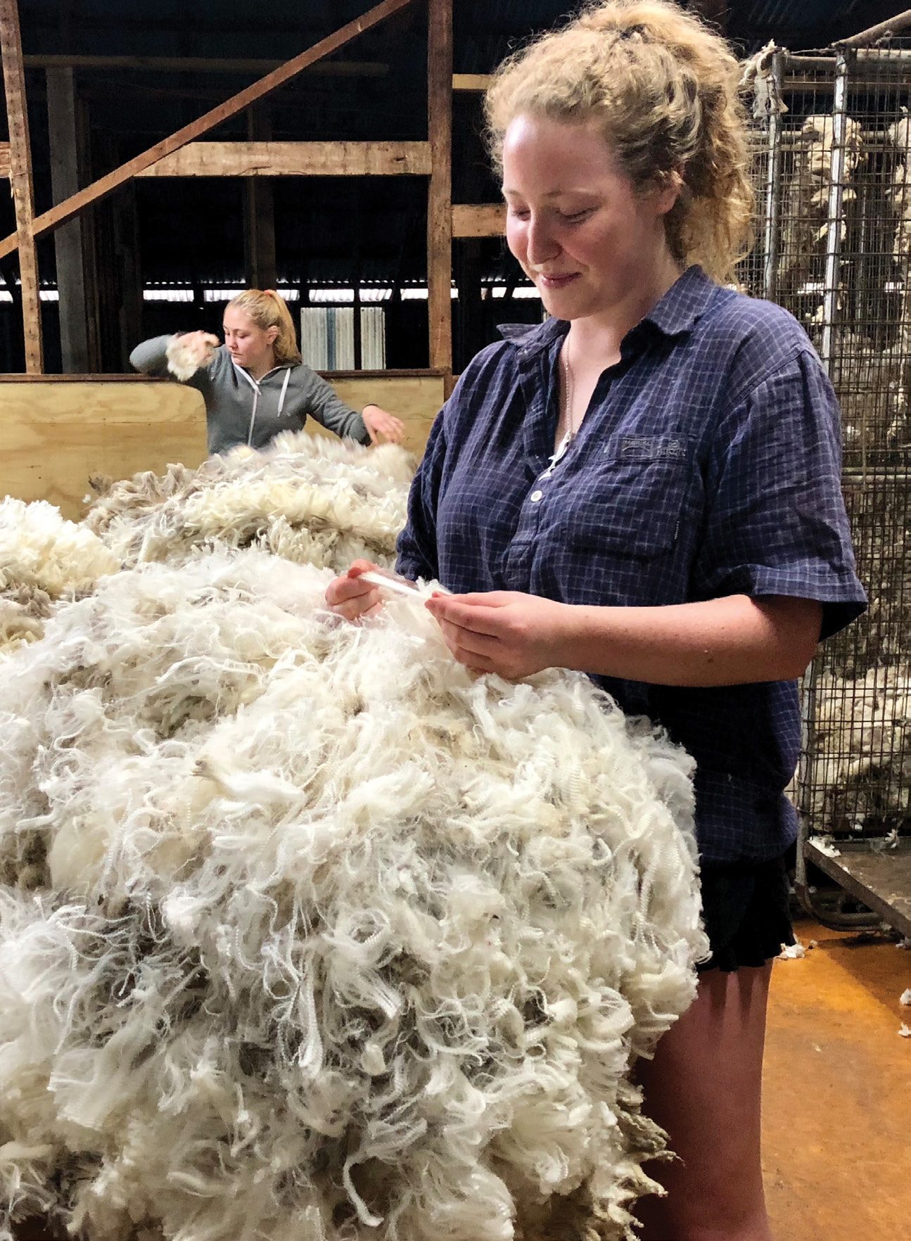 Learning the classer trade - CountryWide