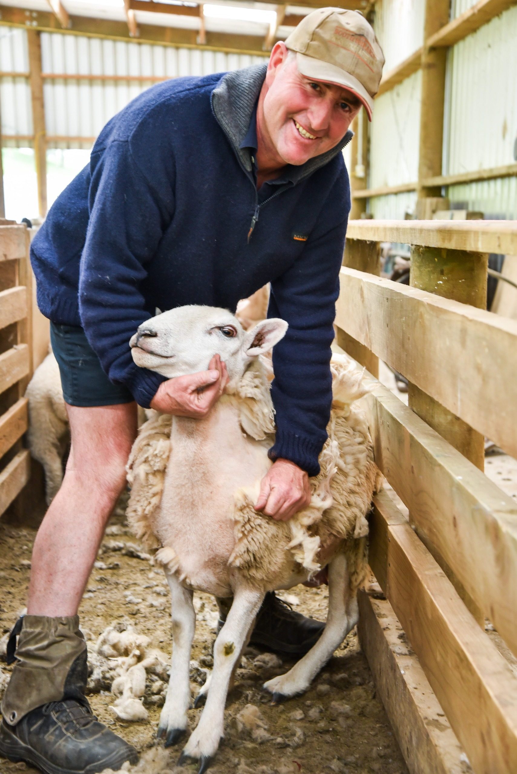 Pulling the wool - CountryWide