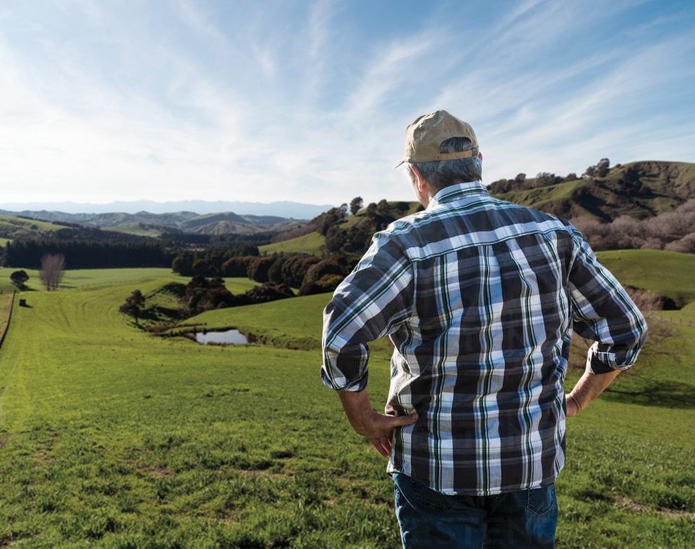 Decision time for farmers - CountryWide