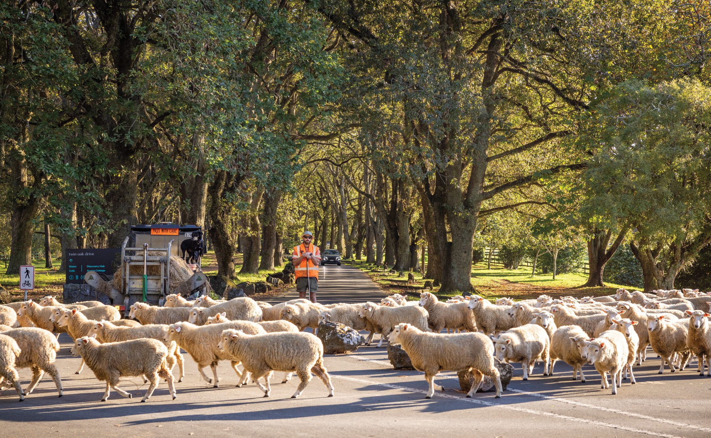 Farming in the city - CountryWide