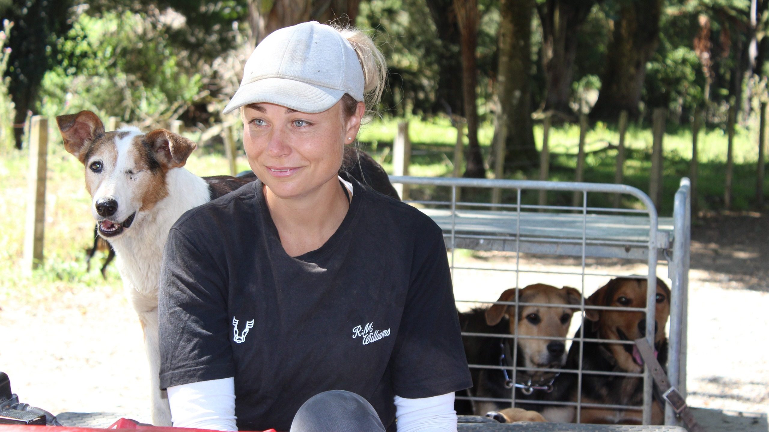 Champion lamb country - CountryWide