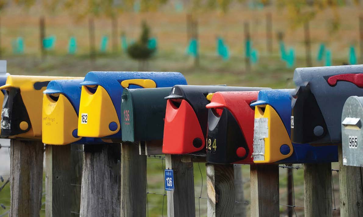 Tar seal good, pasture bad - CountryWide