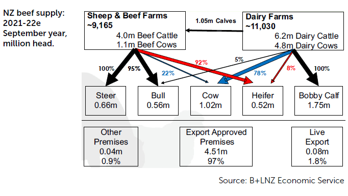 Dairy-beef numbers falter - CountryWide