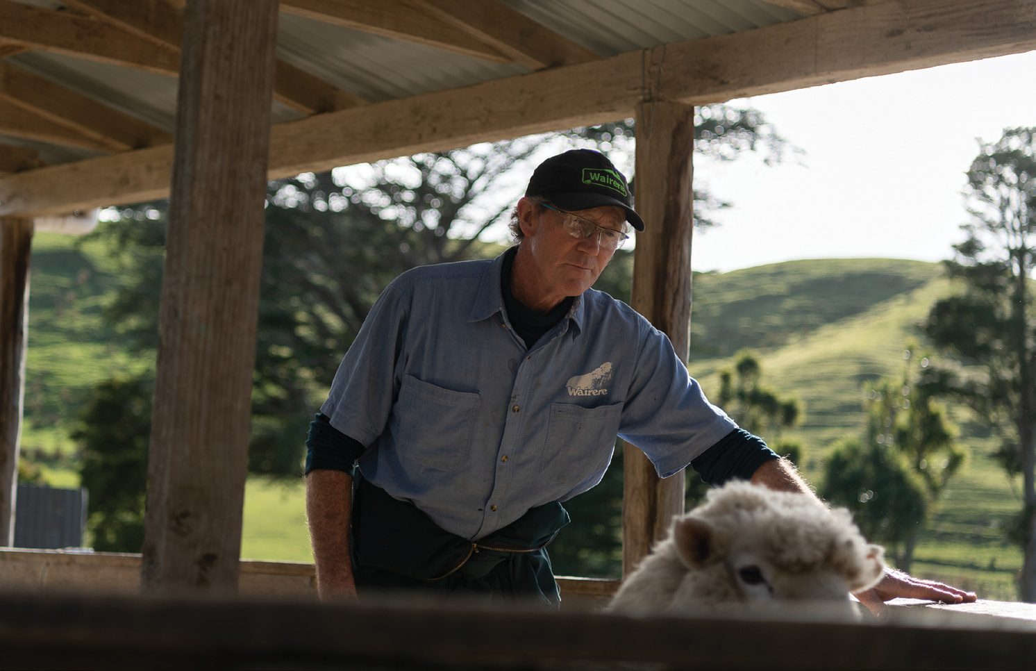 Large sheep stud a worthy winner - CountryWide