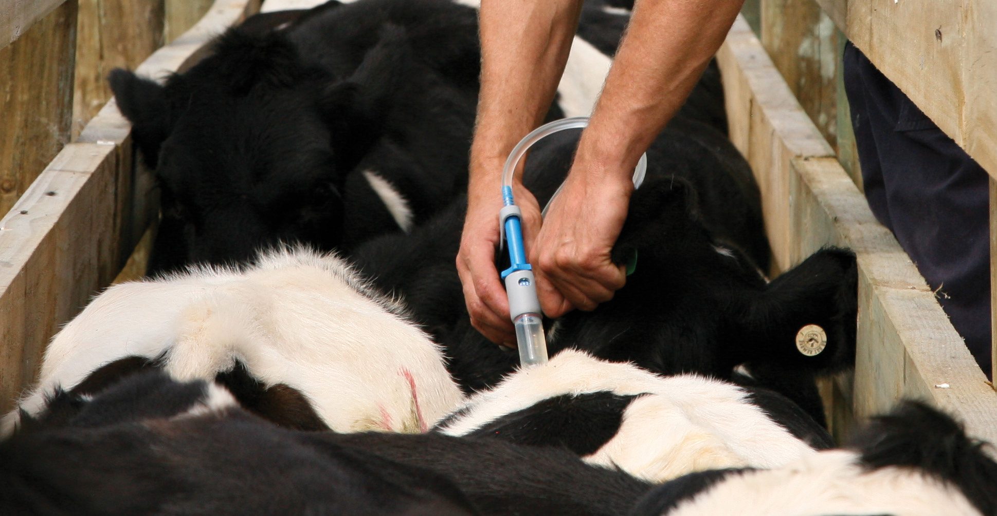 Drench recipe no longer applies - CountryWide