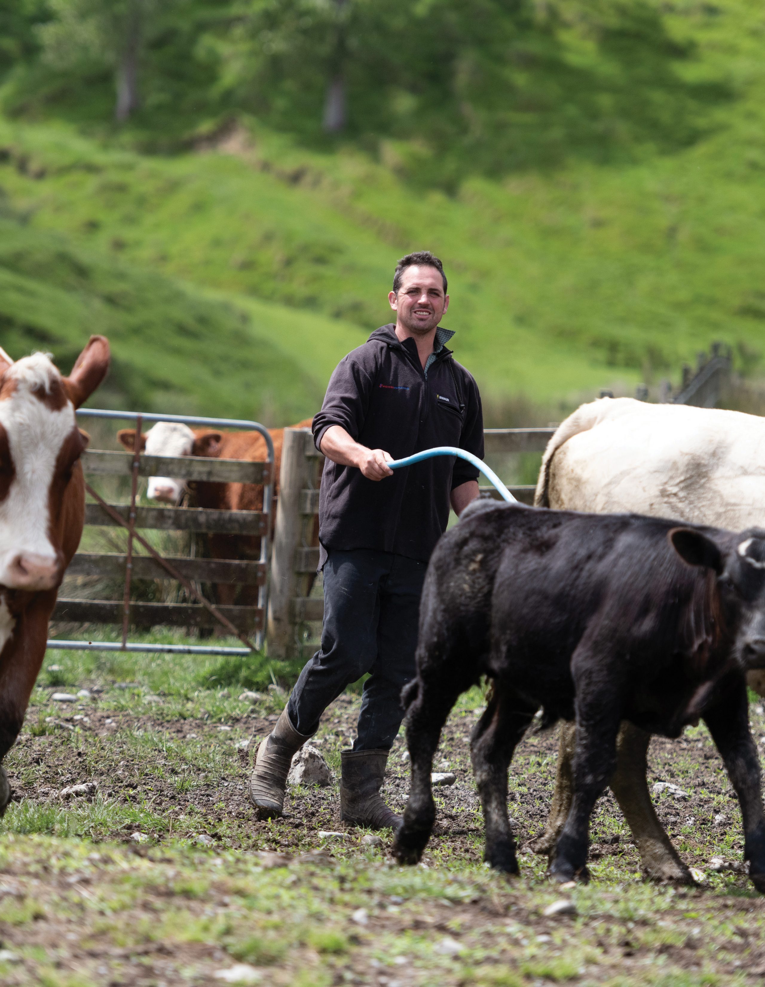 Leasing for farm ownership - CountryWide