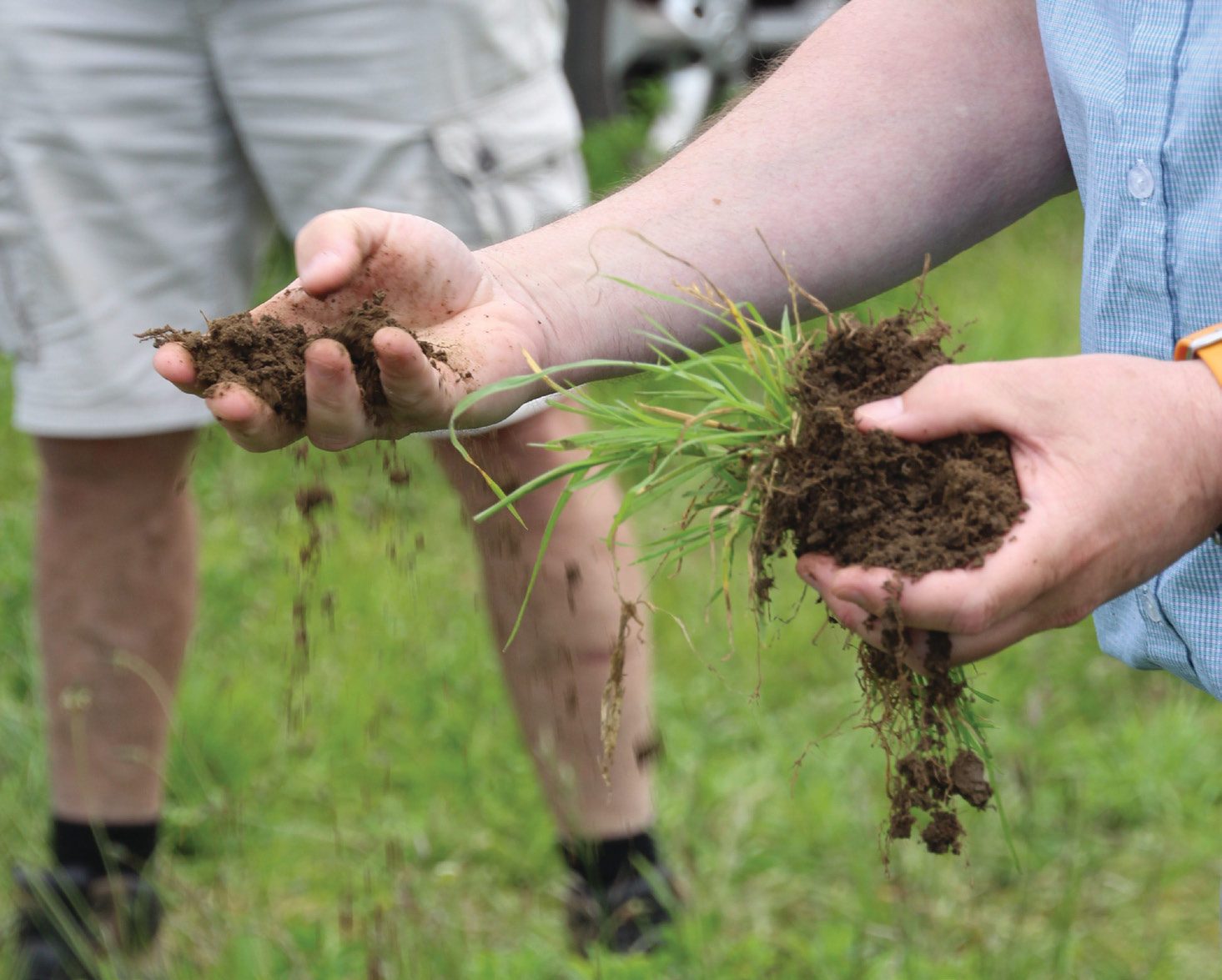 Digging deep for soil quality - CountryWide