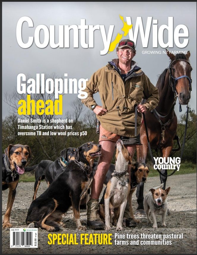 July 2019 - Country-Wide