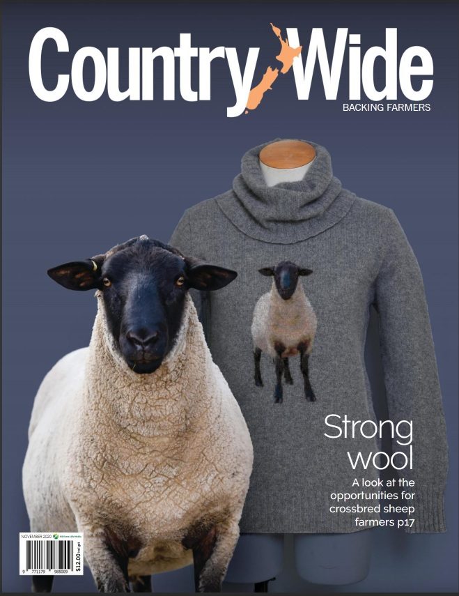 November 2020 - Country-Wide