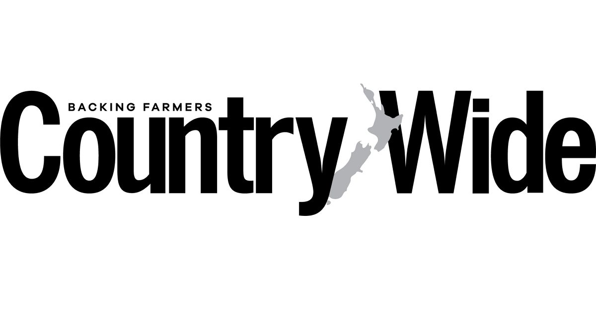 Profile Archives - CountryWide