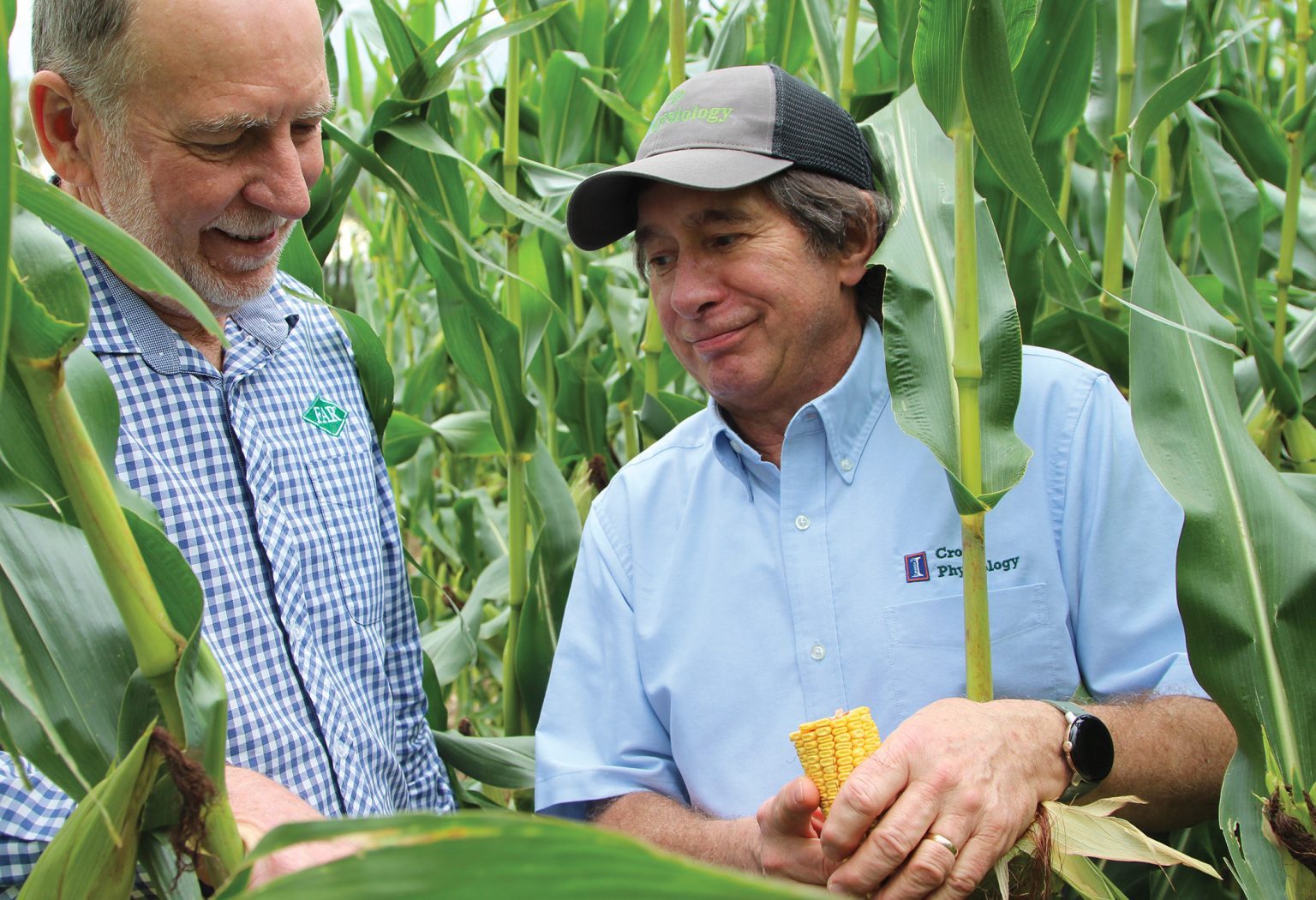 How to achieve top maize yields - CountryWide