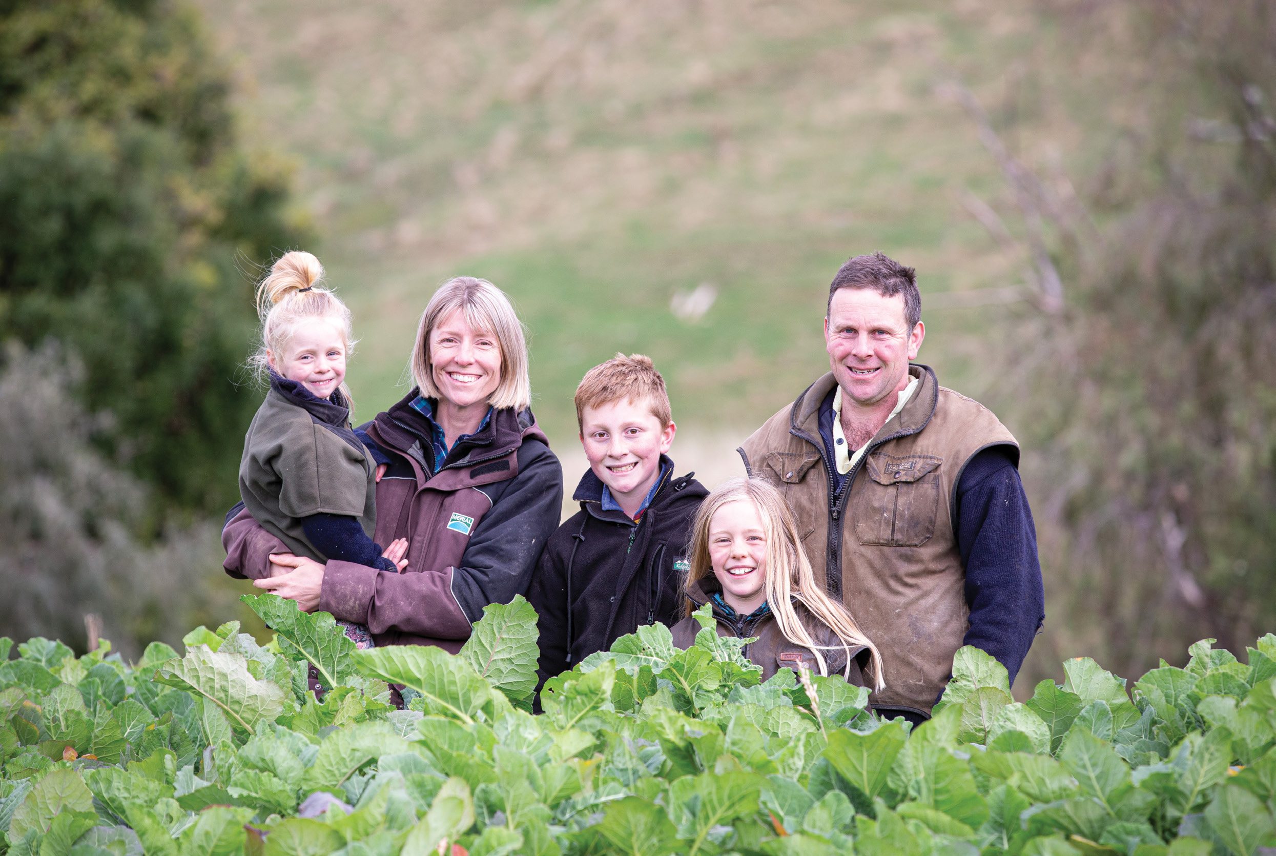 Set-stocking the flock - CountryWide