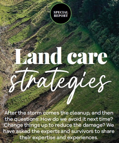 Right tree, right place - CountryWide