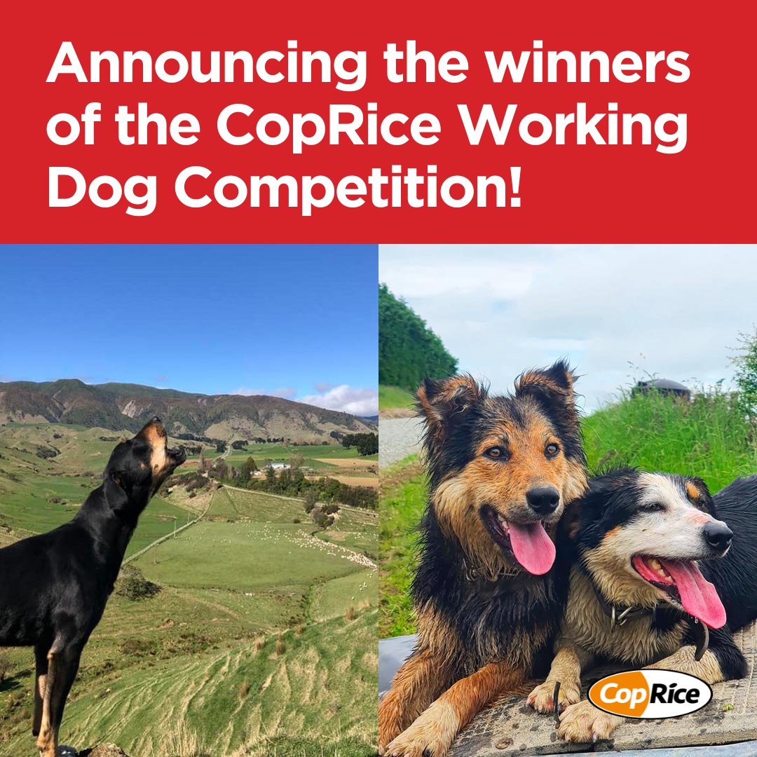 Welcome To Country-Wide - Country-Wide Magazine