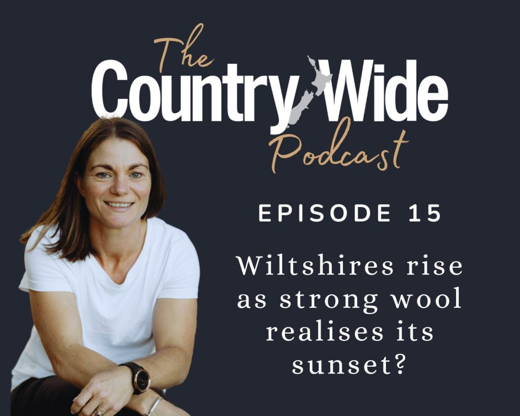 Episode 15 - Are Wiltshire’s sunrise strong wool’s sunset? - CountryWide