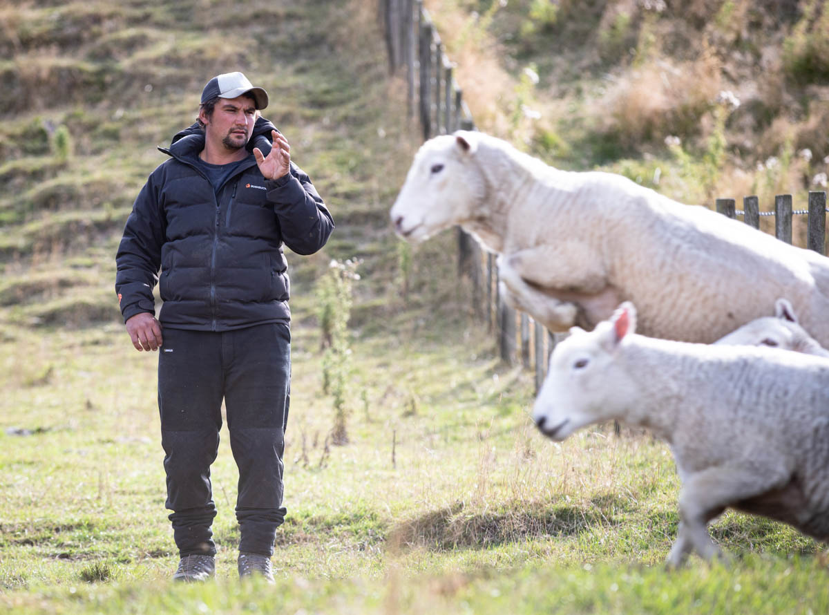 Managing challenges - CountryWide