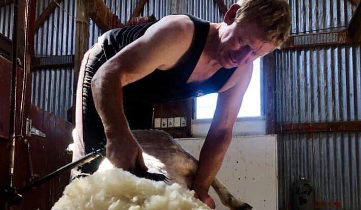 Shear for Life - CountryWide